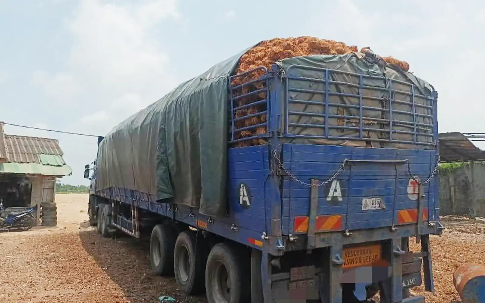 Cubaan seludup ke Thailand, 38,000 kelapa dirampas PGA | FMT