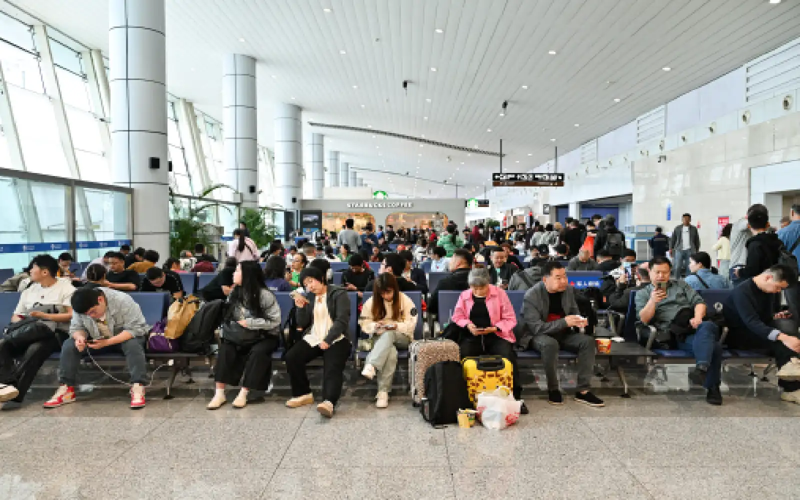 Hundreds of flights grounded as strong winds sweep China | FMT