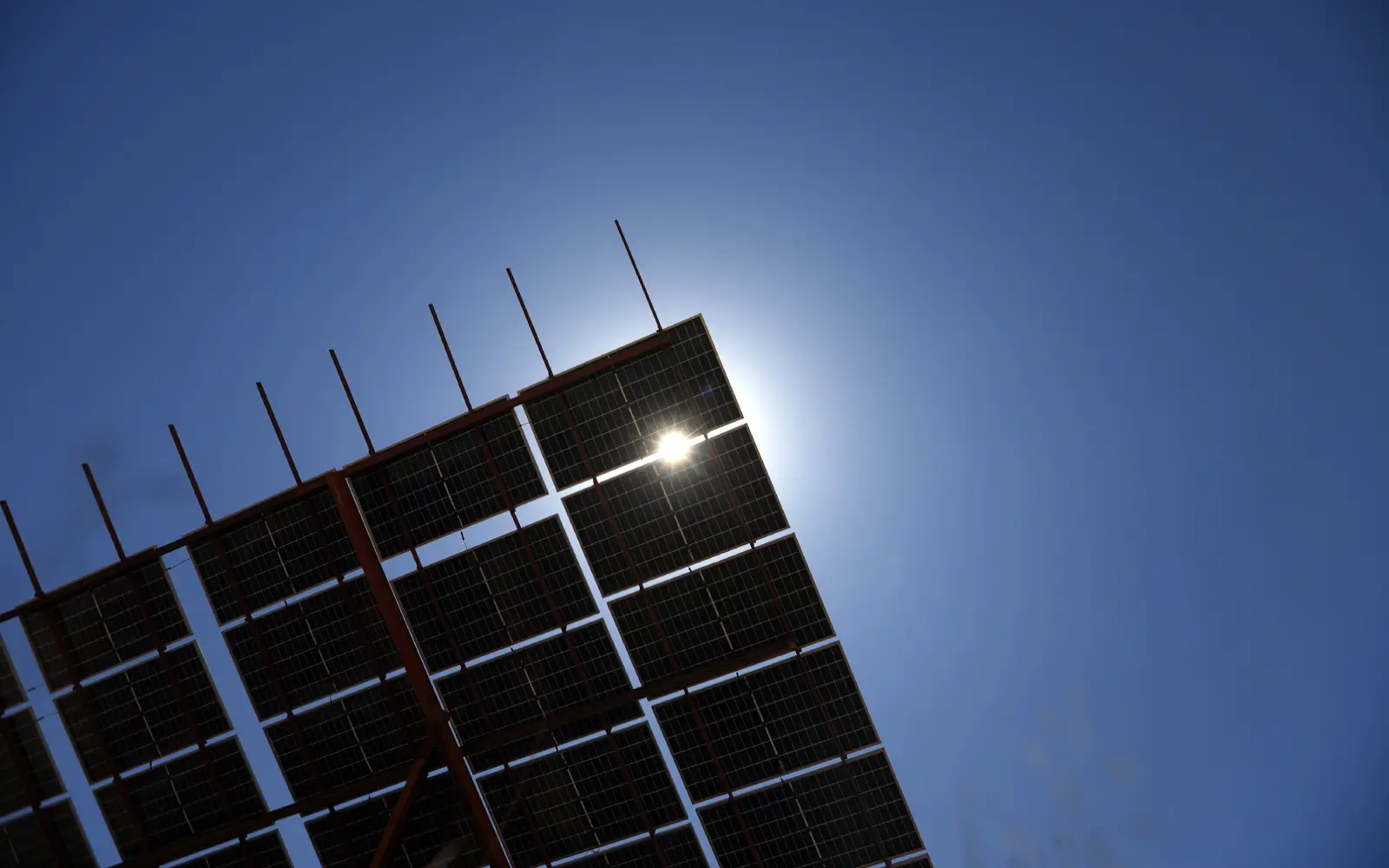 UK considers changes to stop GB Energy using forced labour solar panels ...