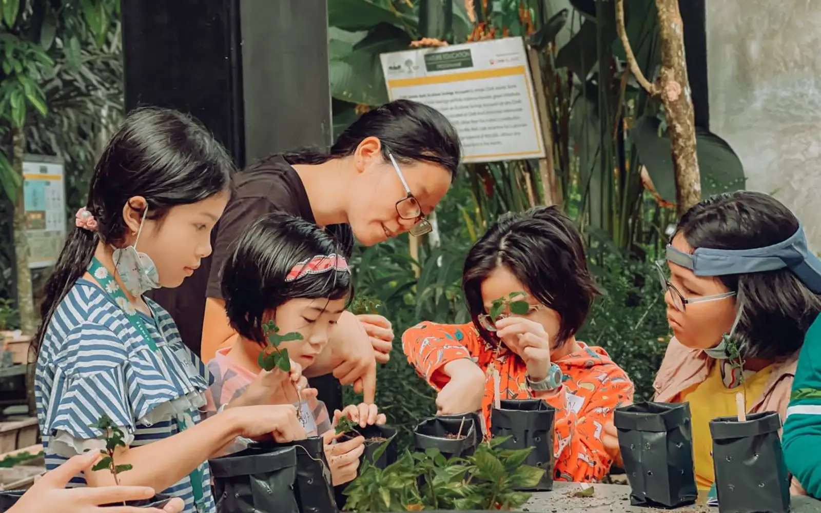 Kids learn about urban farming at ‘Eats, Shoots & Roots’ | FMT