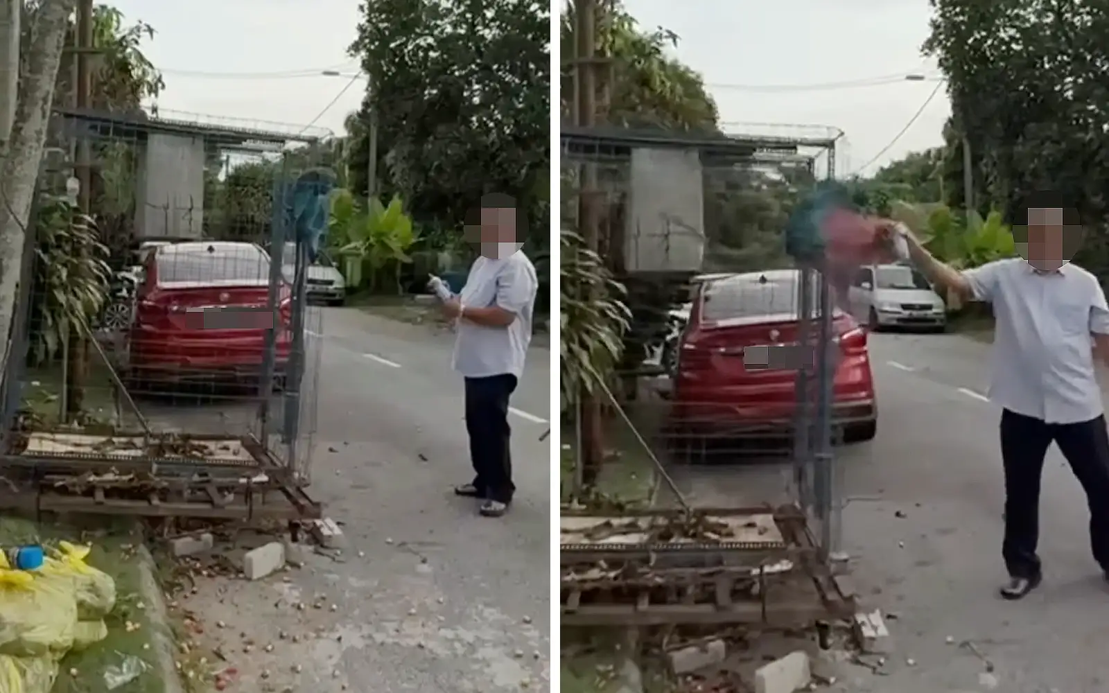 NGO calls for probe after caged monkey sprayed with paint | FMT